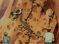 Fósil | Pokémon Wiki | Fandom