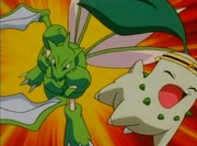 Episodio 163 (serie original) | Pokémon Wiki | Fandom