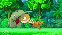 Scraggy de Ash | WikiDex | Fandom