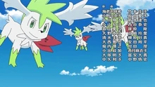Shaymin de Mallow/Lulú | Pokémon Wiki | Fandom