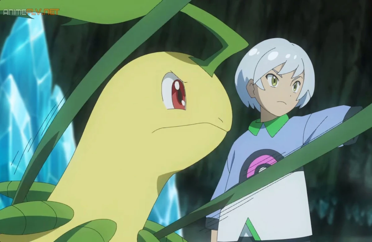 Bayleef de Hernando/Horace | Pokémon Wiki | Fandom