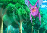 Crobat de Brock | Pokémon Wiki | Fandom
