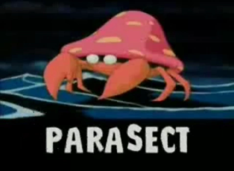 Pokérap de Kanto | Pokémon Wiki | Fandom