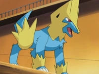 Manectric de Erico | Pokémon Wiki | Fandom