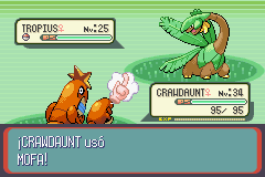 Mofa | Pokémon Wiki | Fandom