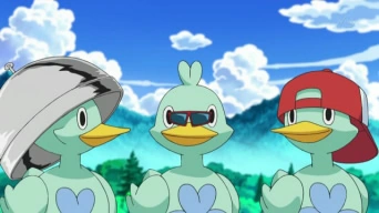 Trío Ducklett (anime) | Pokémon Wiki | Fandom