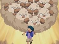 Gilbert | Pokémon Wiki | Fandom