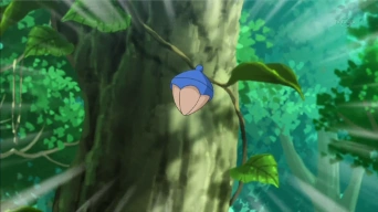 Baya Atania | Pokémon Wiki | Fandom