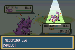 Camelo | Pokémon Wiki | Fandom