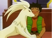 Episodio 234 (serie original) | Pokémon Wiki | Fandom