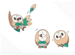 Rowlet | Pokémon Wiki | Fandom