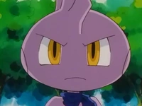 Tyrogue de Kiyo | Pokémon Wiki | Fandom