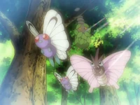 Gráfico De Evolución De Venomoth