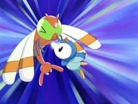 Pippy | Pokémon Wiki | Fandom