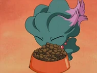 Peque Miss | Pokémon Wiki | Fandom