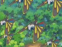 Beautifly | Pokémon Wiki | Fandom