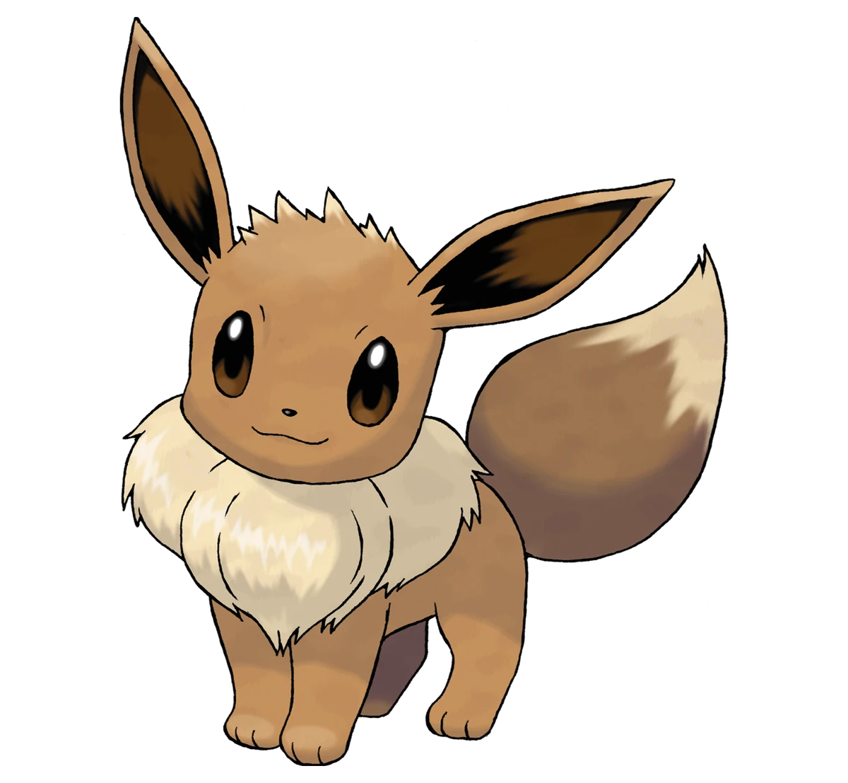 Eevee | Pokémon Wiki | Fandom