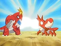 Corphish de Ash | Pokémon Wiki | Fandom