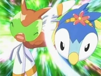 Pippy | Pokémon Wiki | Fandom