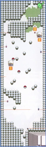 Ruta 217 | Pokémon Wiki | Fandom