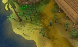 Karamja | RuneScape Wiki | Fandom
