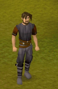 Spellbook Swap | RuneScape Wiki | Fandom