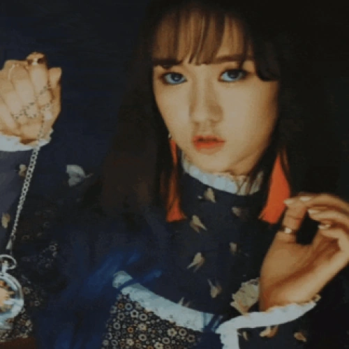 Cat | Essix's ORGs Wiki | Fandom