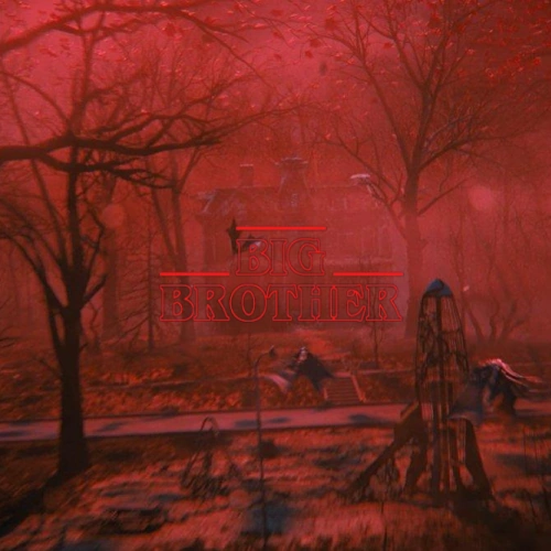 Big Brother: Stranger Things | Essix's ORGs Wiki | Fandom
