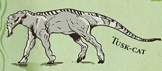 Gato colmillo | Star Wars Wiki | Fandom