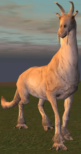 Gualama | Star Wars Wiki | Fandom