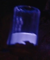 Spotchka | Star Wars Wiki | Fandom