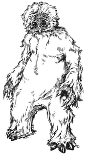 Muftak | Star Wars Wiki | Fandom