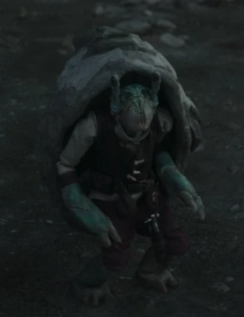 Noti | Star Wars Wiki | Fandom