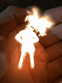 Wistie | Star Wars Wiki | Fandom