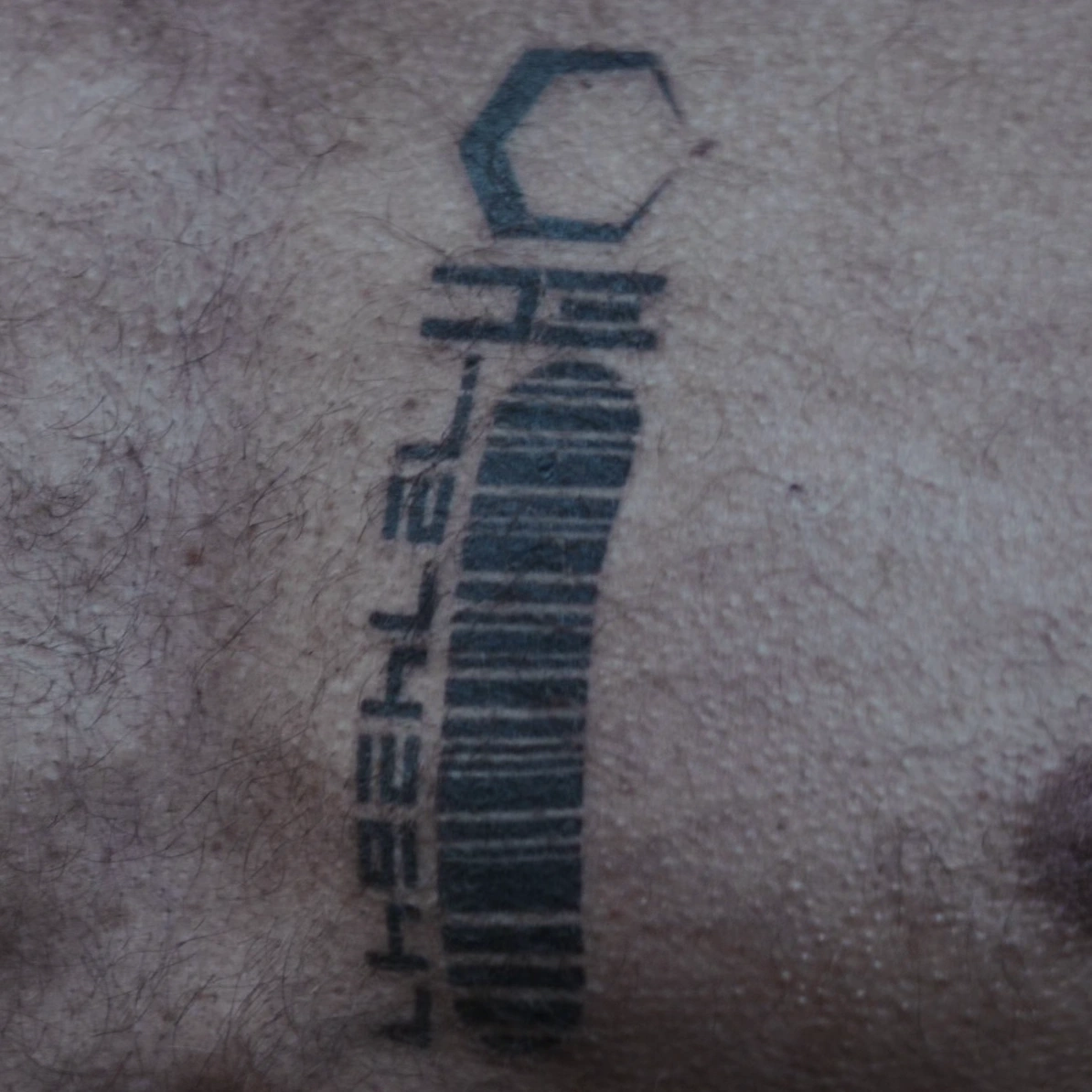 Krayt Head | Star Wars Wiki | Fandom