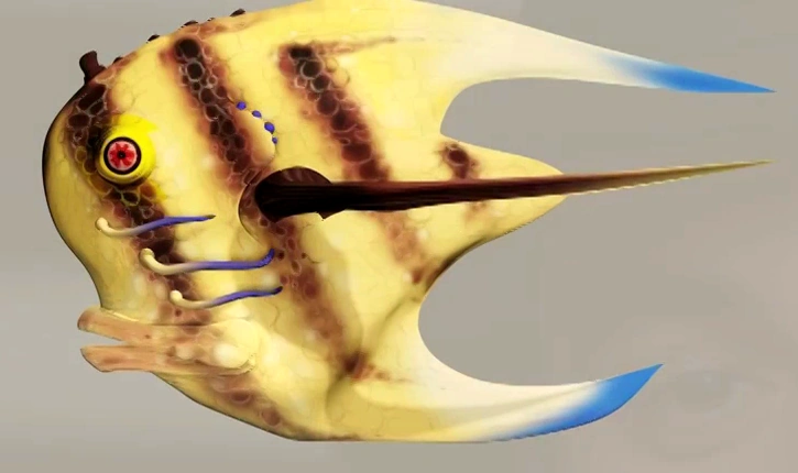 Mee | Star Wars Wiki | Fandom