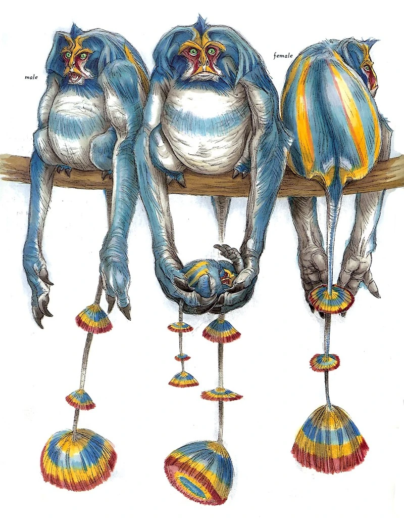Woolamander | Star Wars Wiki | Fandom