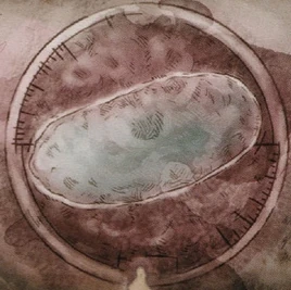 Midicloriano | Star Wars Wiki | Fandom