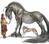 Guarlara | Star Wars Wiki | Fandom