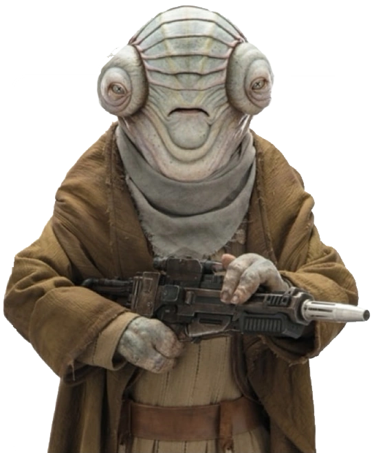 Didynon | Star Wars Wiki | Fandom