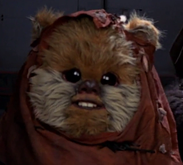 Widdle Warrick | Star Wars Wiki | Fandom