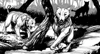 Garral | Star Wars Wiki | Fandom