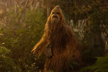 Kelnacca | Star Wars Wiki | Fandom