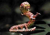 K'lor'slug | Star Wars Wiki | Fandom