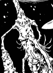 Coral | Star Wars Wiki | Fandom