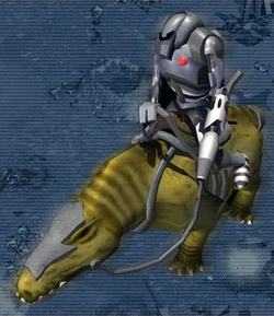 Soldado Orray | Star Wars Wiki | Fandom