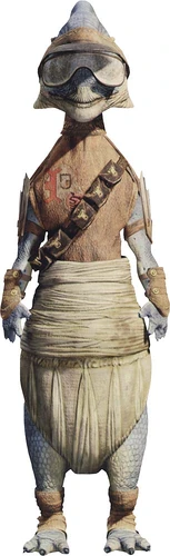 Aleena | Star Wars Wiki | Fandom