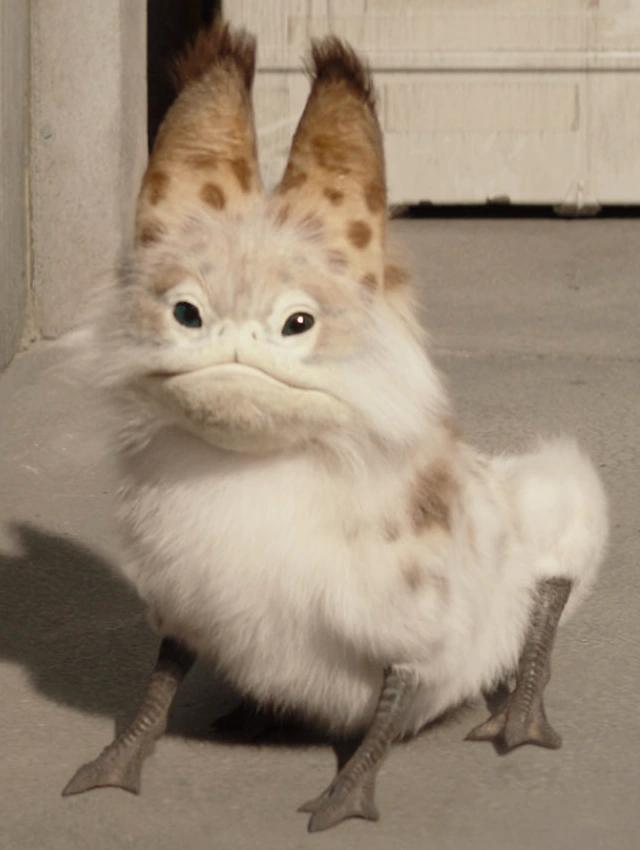 Murley | Star Wars Wiki | Fandom