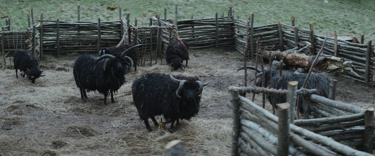 Dray | Star Wars Wiki | Fandom