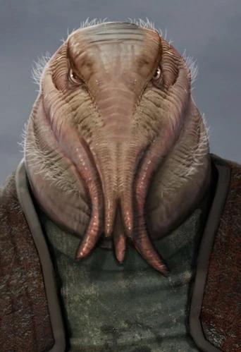 Oga Garra | Star Wars Wiki | Fandom